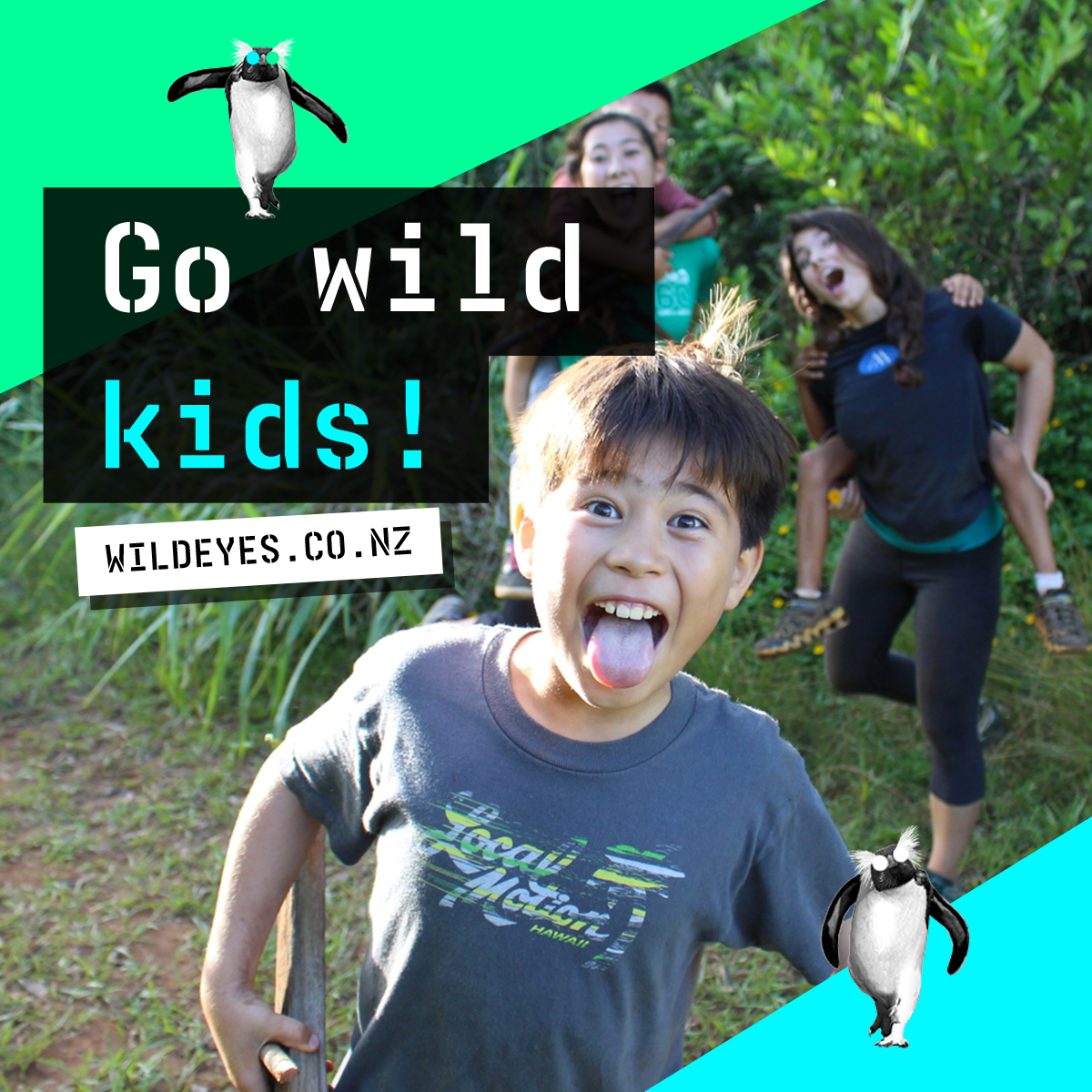 Welcome to Wild Eyes!